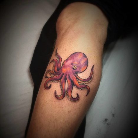 Tatuajes de pulpos - TATUAJES CON SIGNIFICADO
